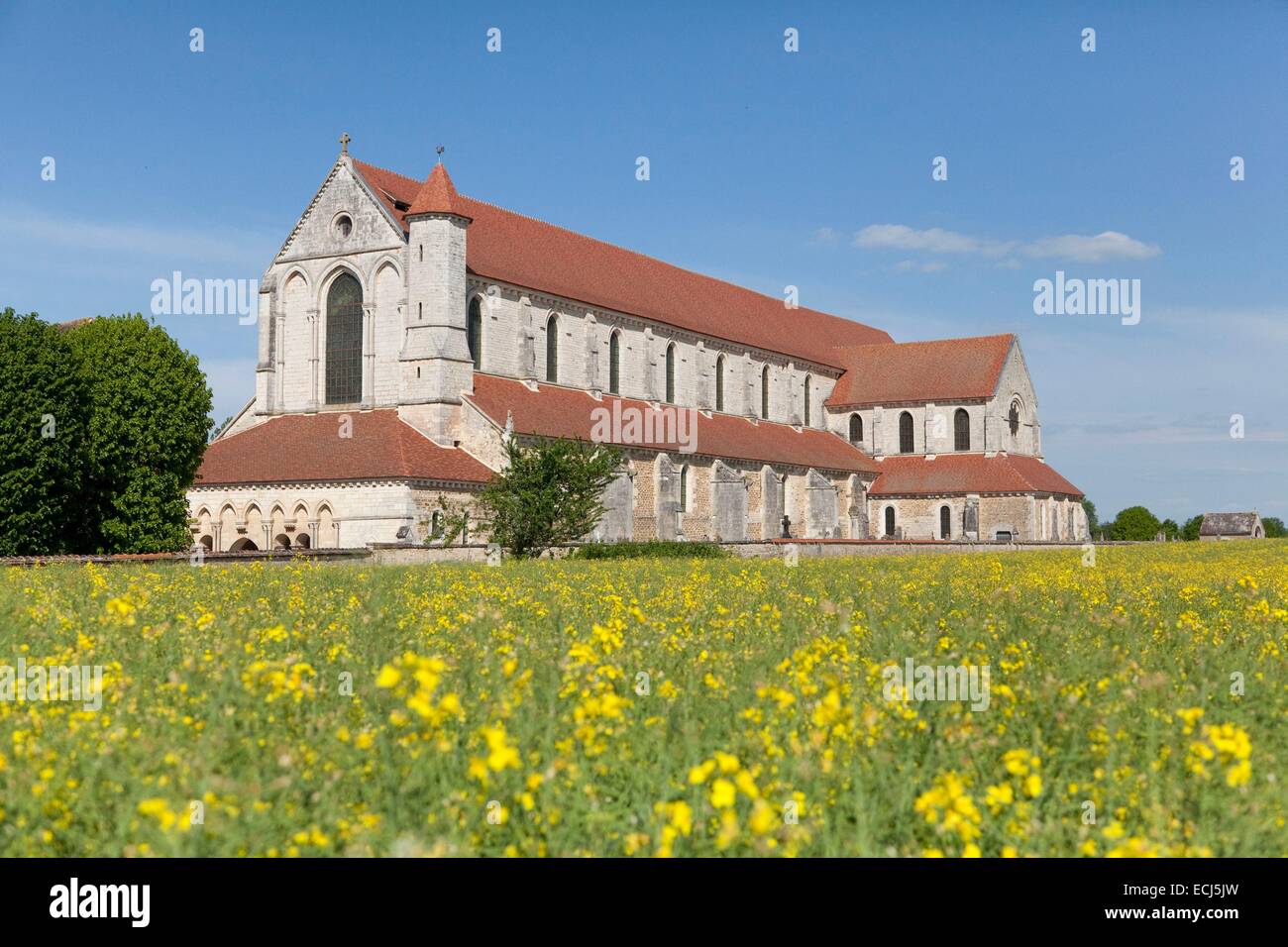 France, Yonne, Pontigny, former Cistercian abbey Stock Photo - Alamy