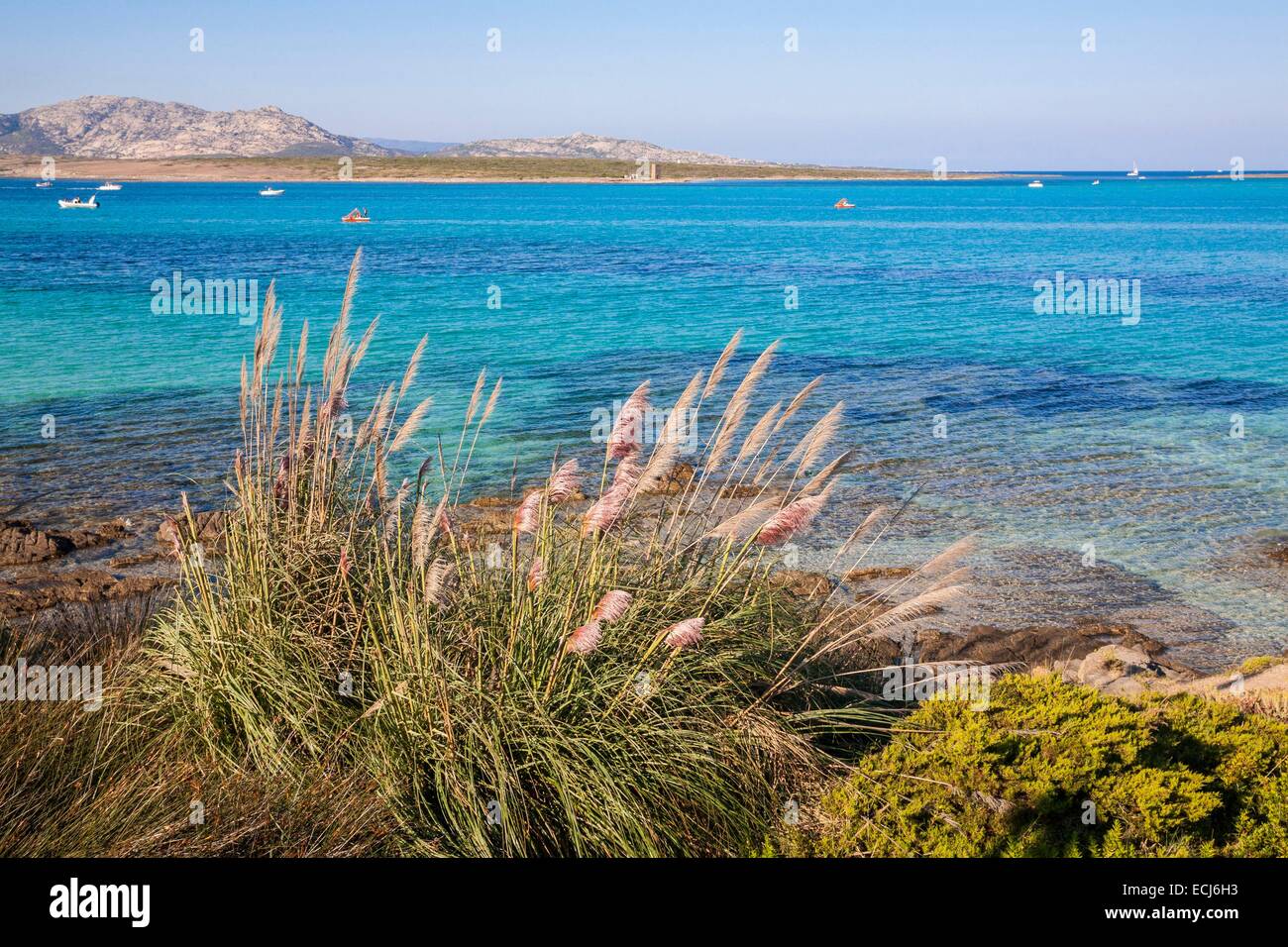 Italy, Sardinia, Riviera del Corallo, regional park of Porto Conte ...