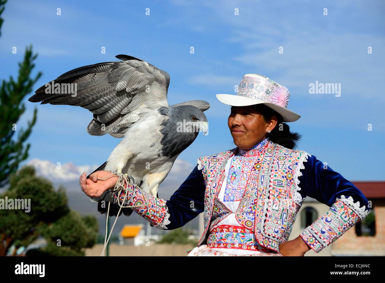 Peru, Caylloma Province, Colca Canyon, Yanque, Peruvian and his eagle ...
