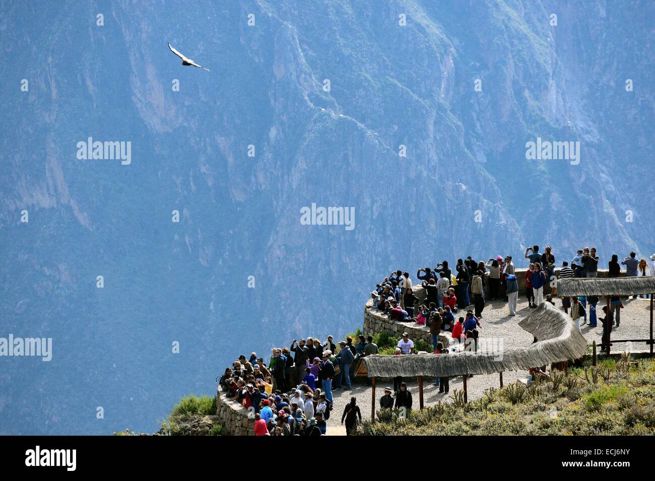 Peru, Arequipa Province, Colca Canyon, the Condor's Cross (Cruz del ...