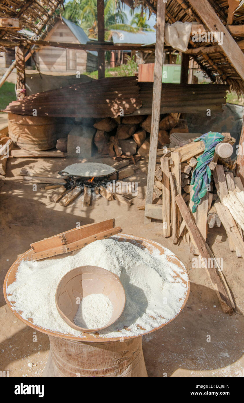 Preparation of Cassava bread, a traditional food of the indigenous and ...
