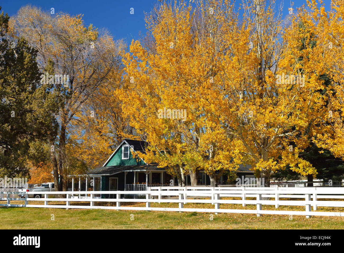 Indian bend hi-res stock photography and images - Alamy