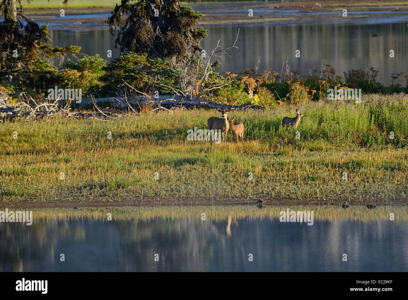 Bend central oregon hi-res stock photography and images - Alamy