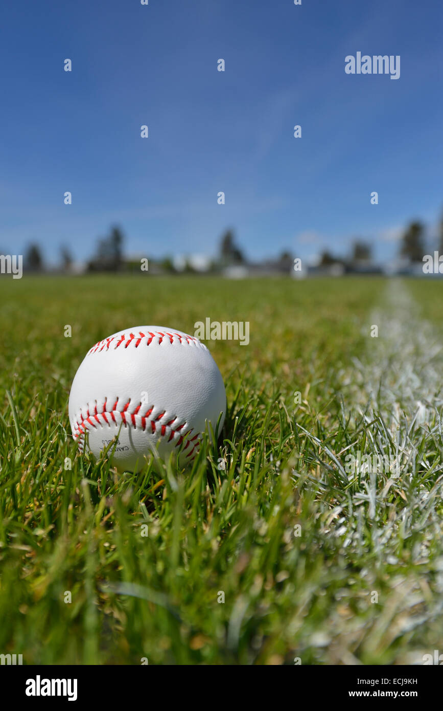 Baseball sitting in grass Stock Photo - Alamy