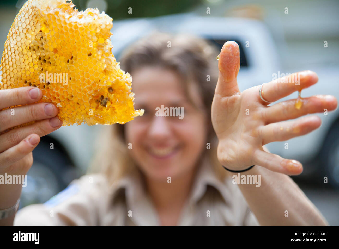 Real honey hi-res stock photography and images - Alamy
