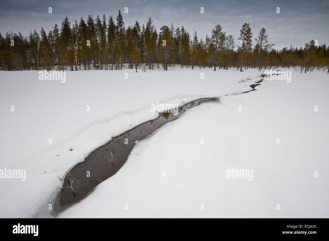 Finland, Hossa Nature Park, Eastern Lapland, lake and taiga Stock Photo ...