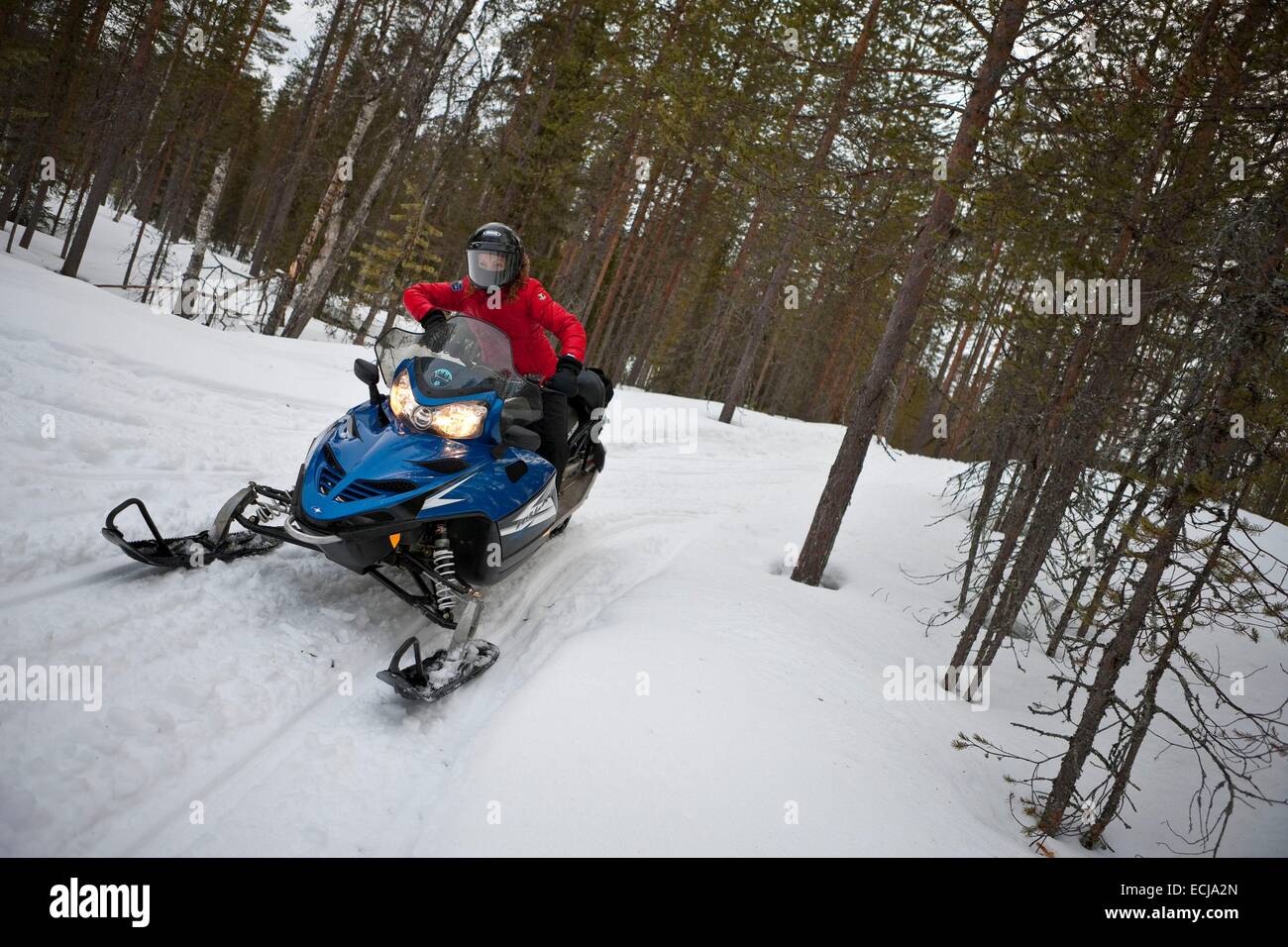 Finland, Hossa Nature Park, Eastern Lapland, woman on a snow bike Stock ...