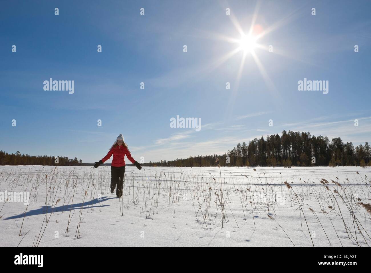 Finland, Hossa Nature Park, Eastern Lapland Stock Photo - Alamy