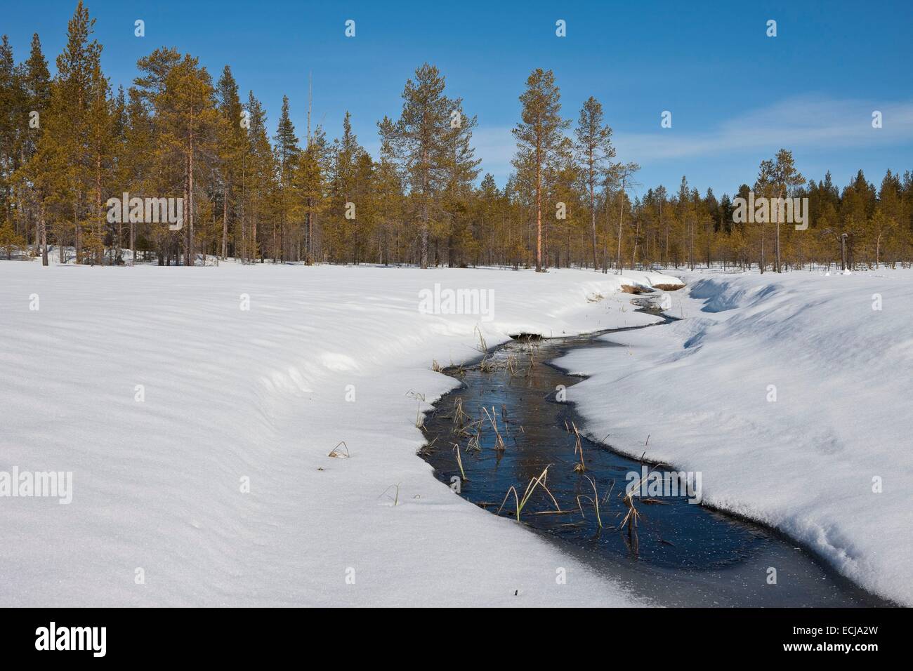 Finland, Hossa, Nature Park, Eastern Lapland, Lake and Taiga Stock ...