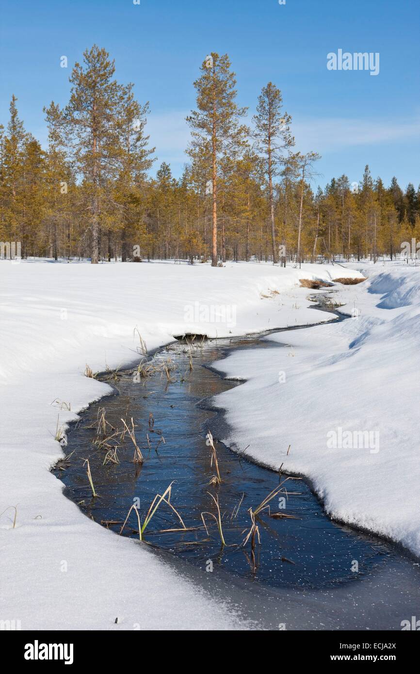 Finland, Hossa Nature Park, Eastern Lapland, Lake and Taiga Stock Photo ...