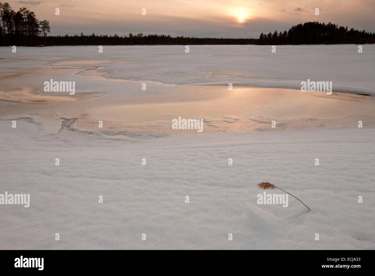 Finland, Hossa Nature Park, Eastern Lapland, lake HossanjΣrvi Stock ...