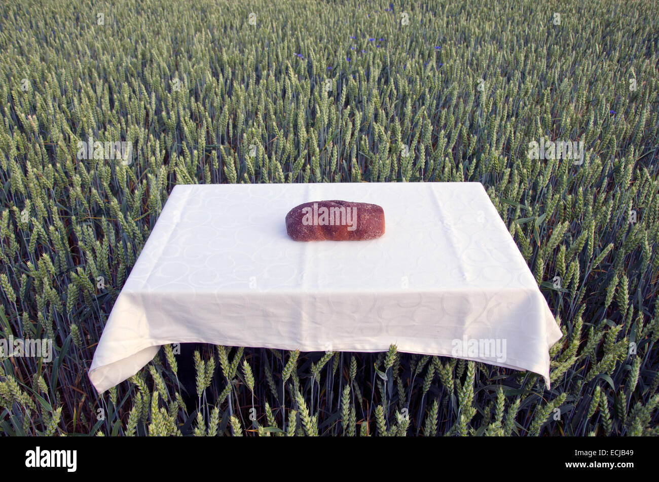 Field tablecloth hi-res stock photography and images - Alamy
