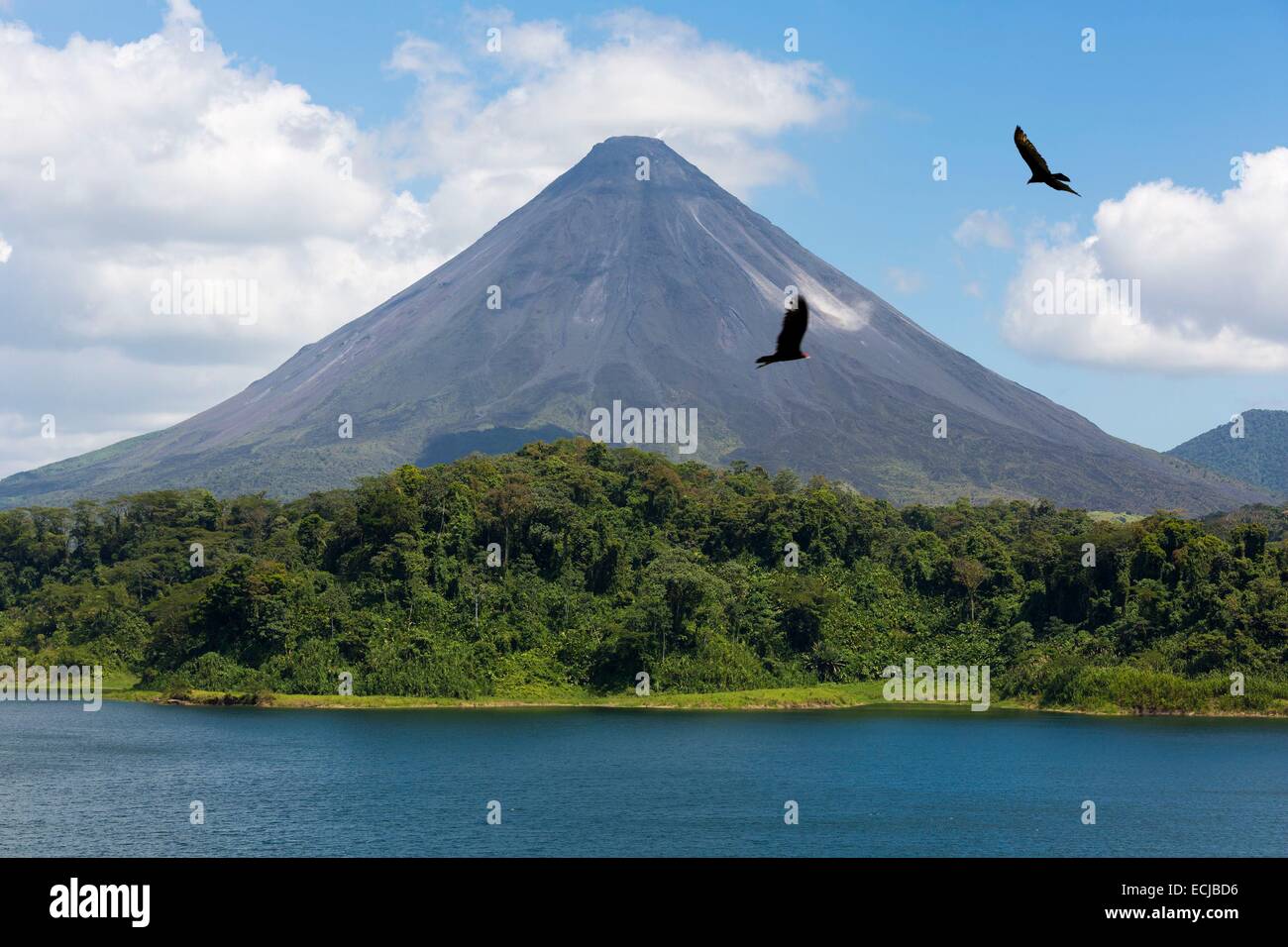 Costa Rica, Guanacaste Province, Arenal Lake at the bottom of Arenal ...