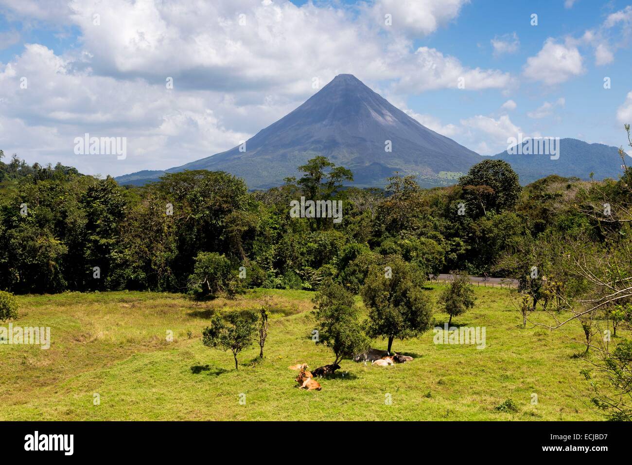 Costa Rica, Guanacaste Province, Arenal Volcano Stock Photo - Alamy