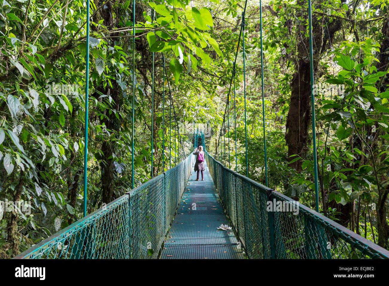 Canopy Tour Costa Rica Bridge High Resolution Stock Photography and ...