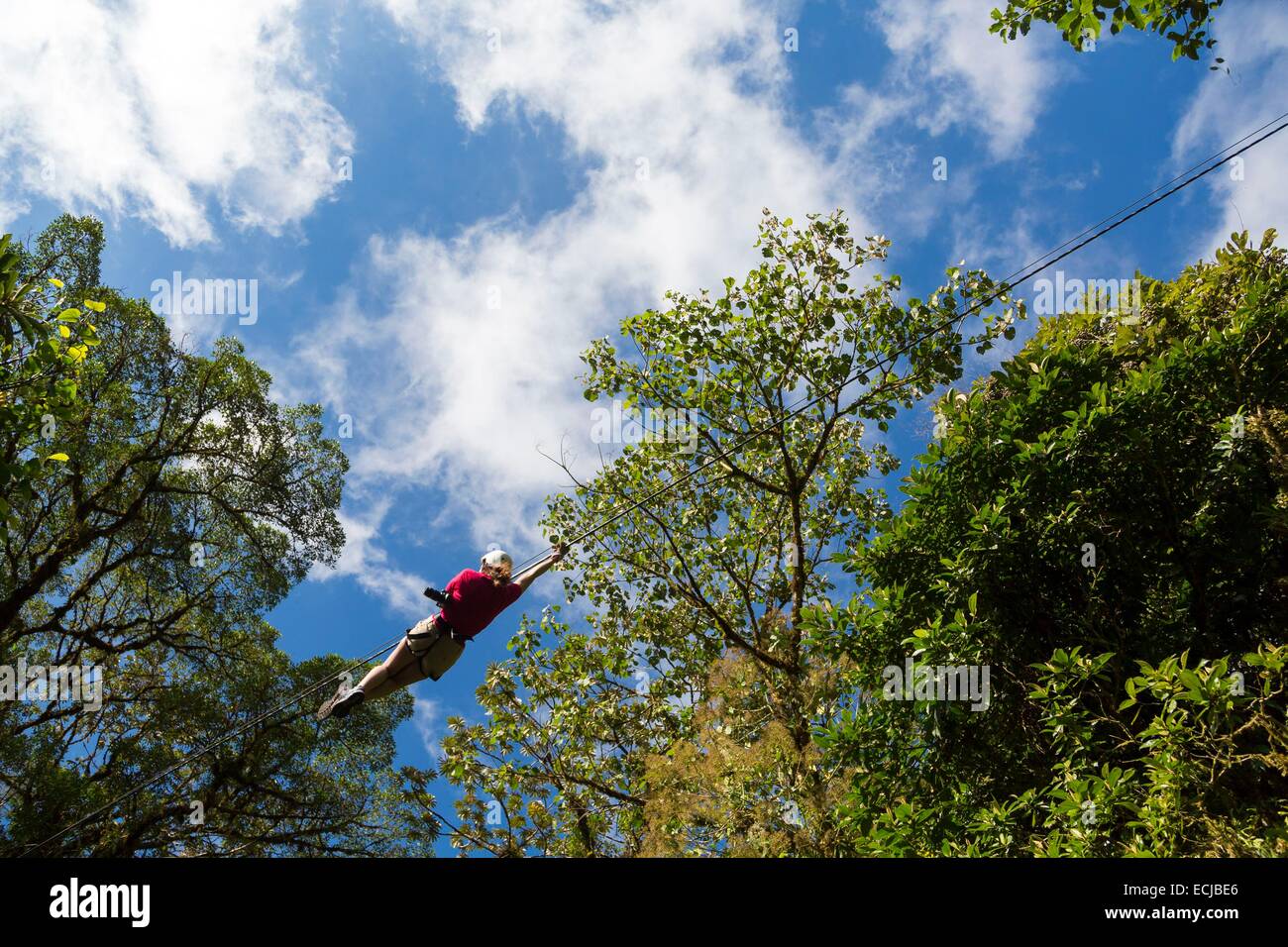 Costa Rica, Puntarenas Province, Santa Elena, canopy tour, tyrolean ...