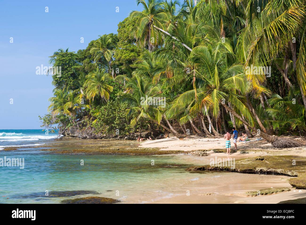 Costa Rica, Limon Province, Caribbean coast, Gandoca-Manzanillo ...