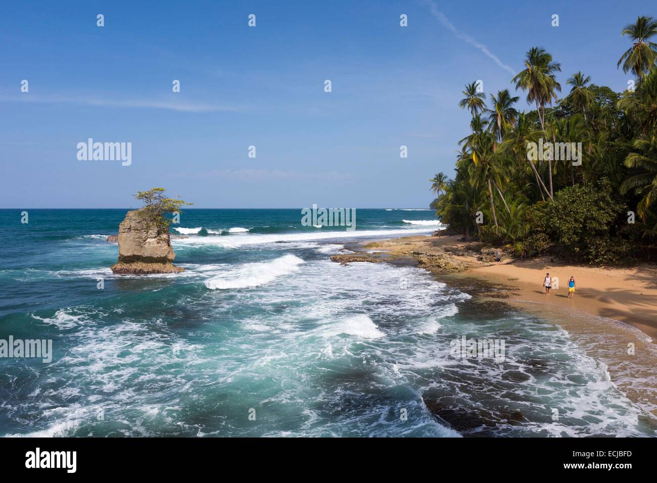 Costa Rica, Limon Province, Caribbean coast, Gandoca-Manzanillo ...