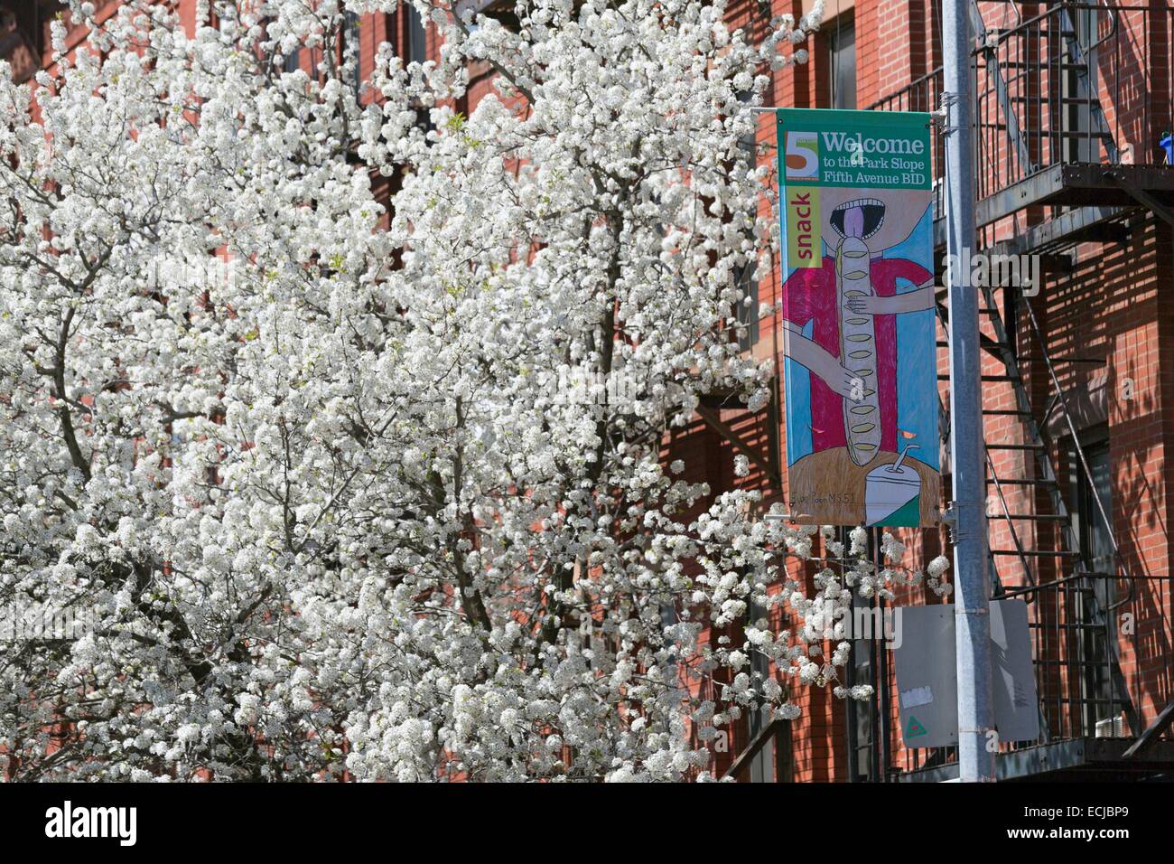 New york spring flower park avenue hi-res stock photography and images ...