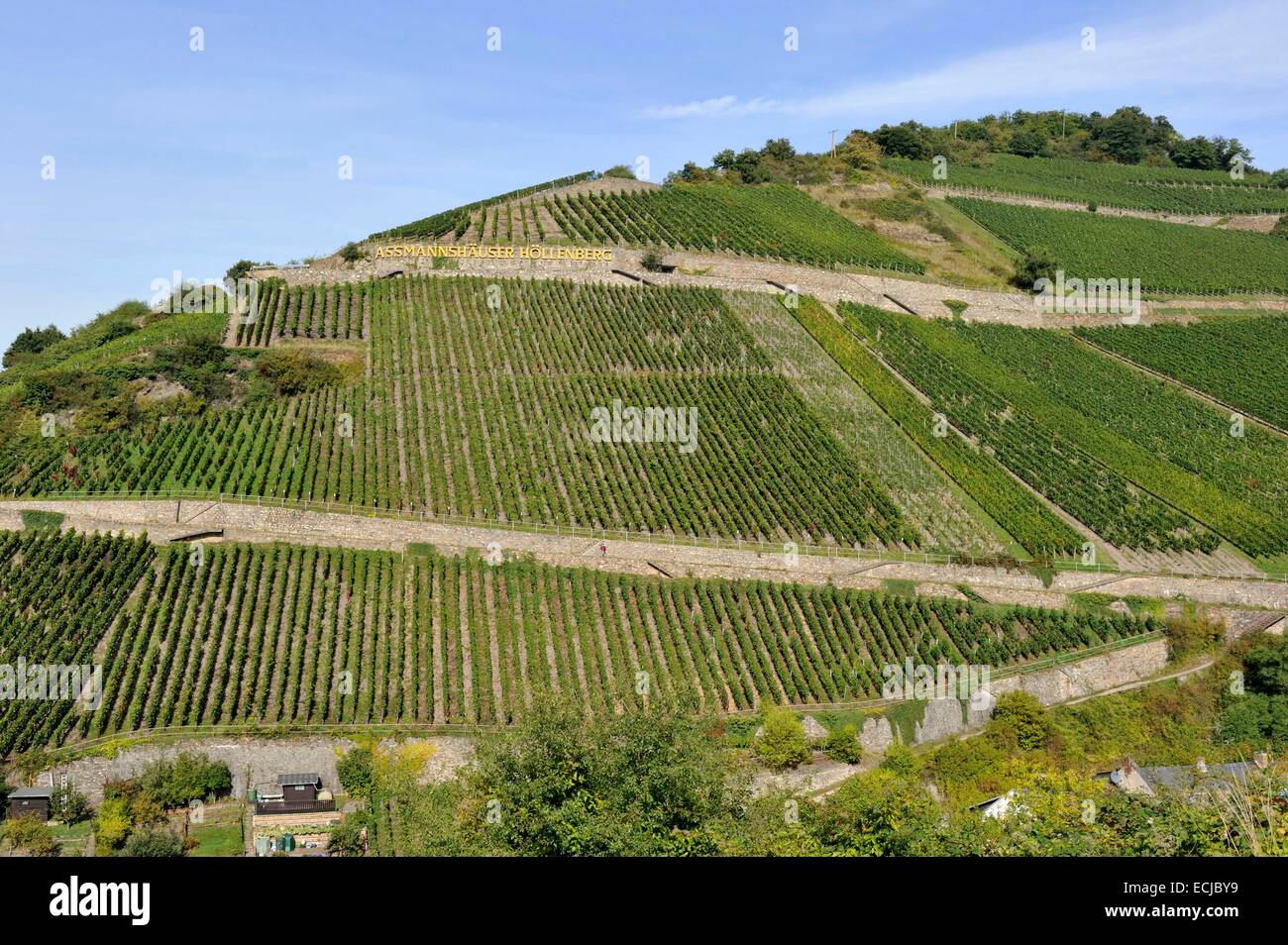 Germany, Rhineland Palatinate, Assmannshausen-Rudesheim and its ...
