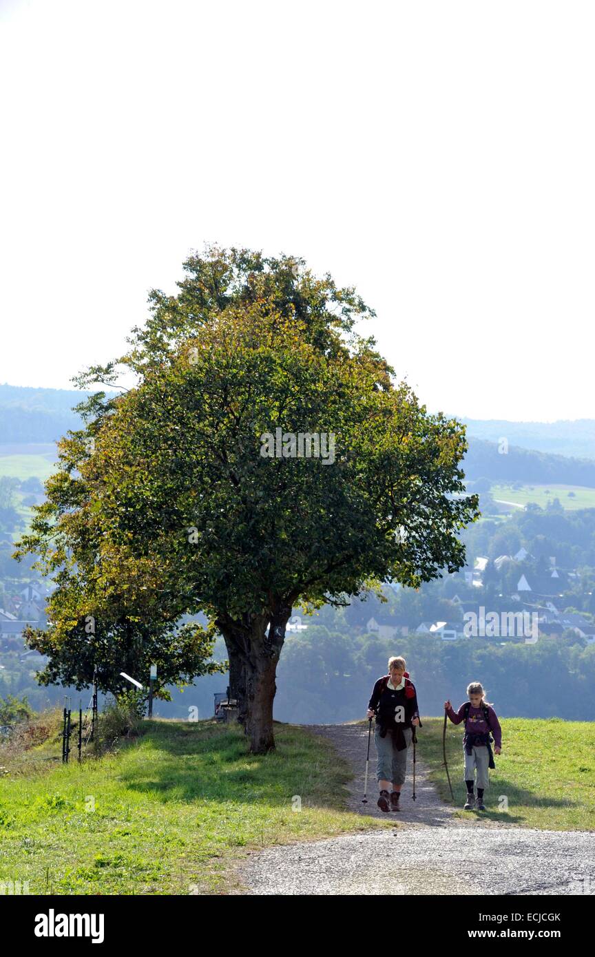 Germany, Rhineland Palatinate, hikers at the Loreley (Lorelei) rock ...