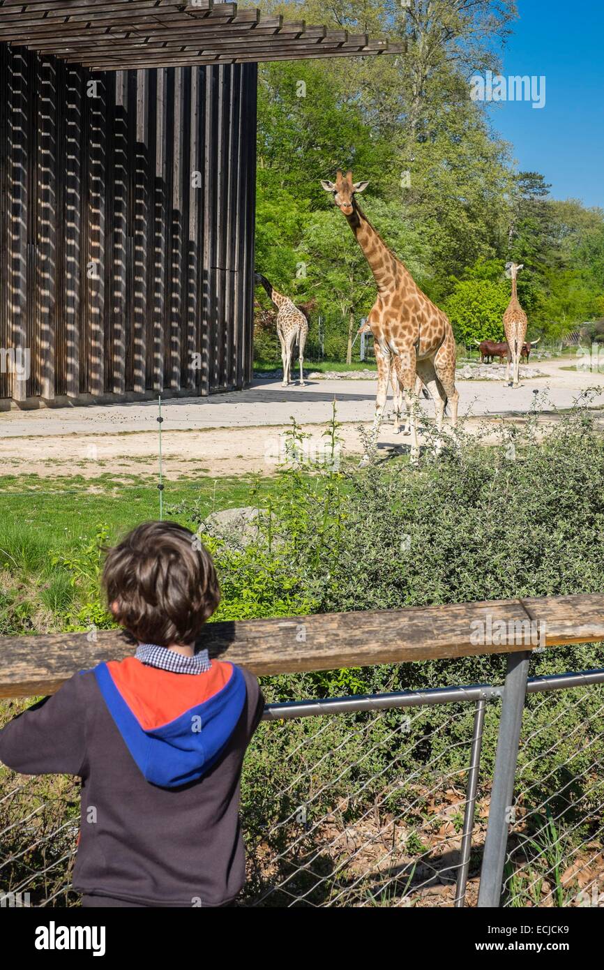 France, Rhone, Lyon, Parc de la Tete d'Or or Park of the Golden Head ...