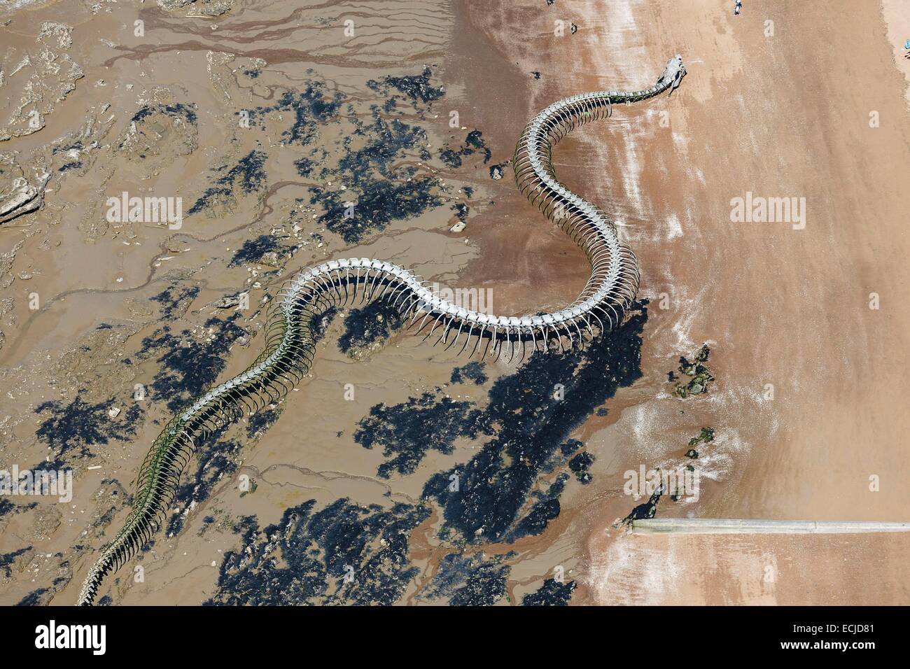 France, Loire Atlantique, Saint Brevin les Pins, Mindin, sea serpent by ...