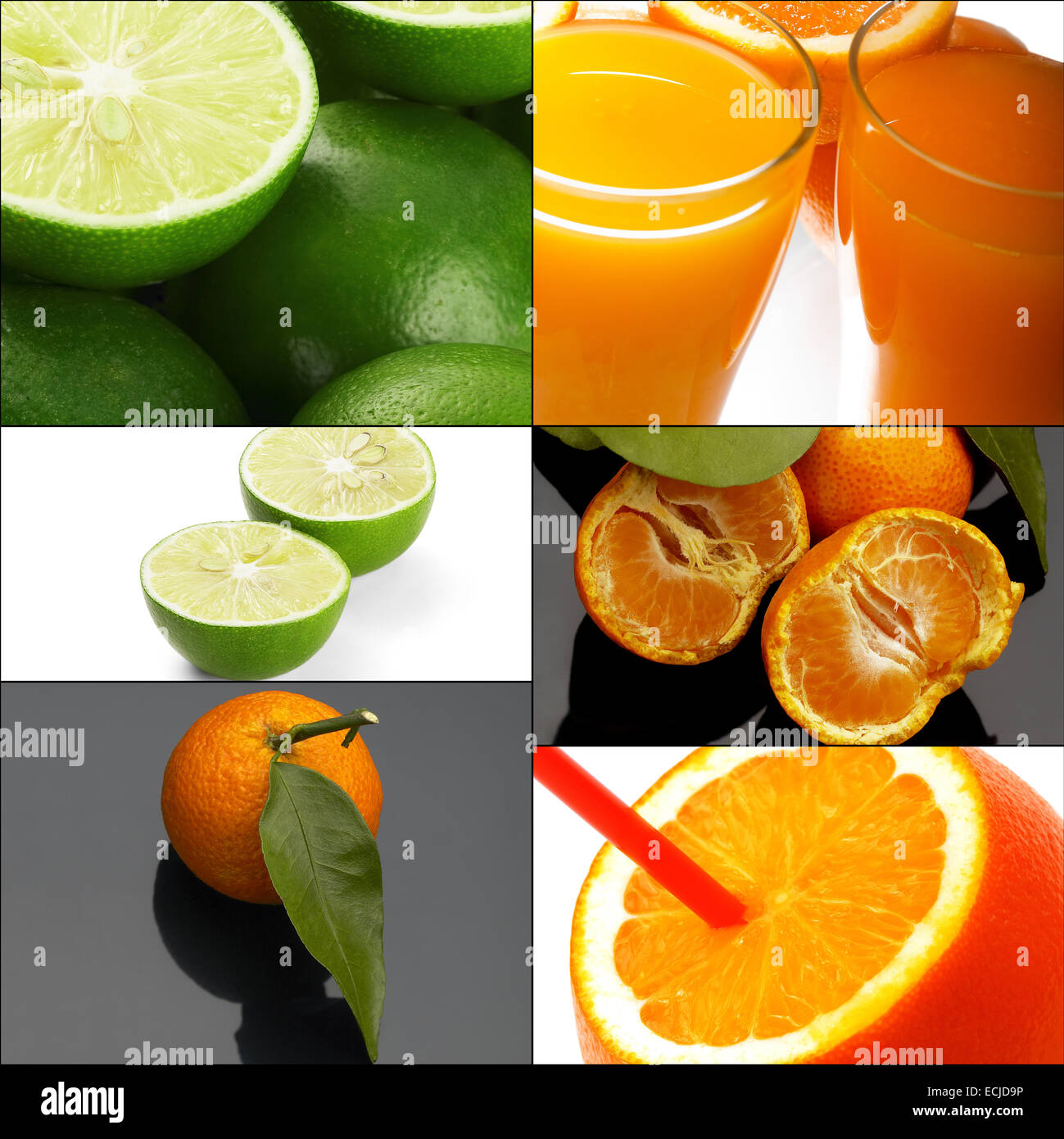 fresh citrus fruits collage composition nested on a square frame Stock ...