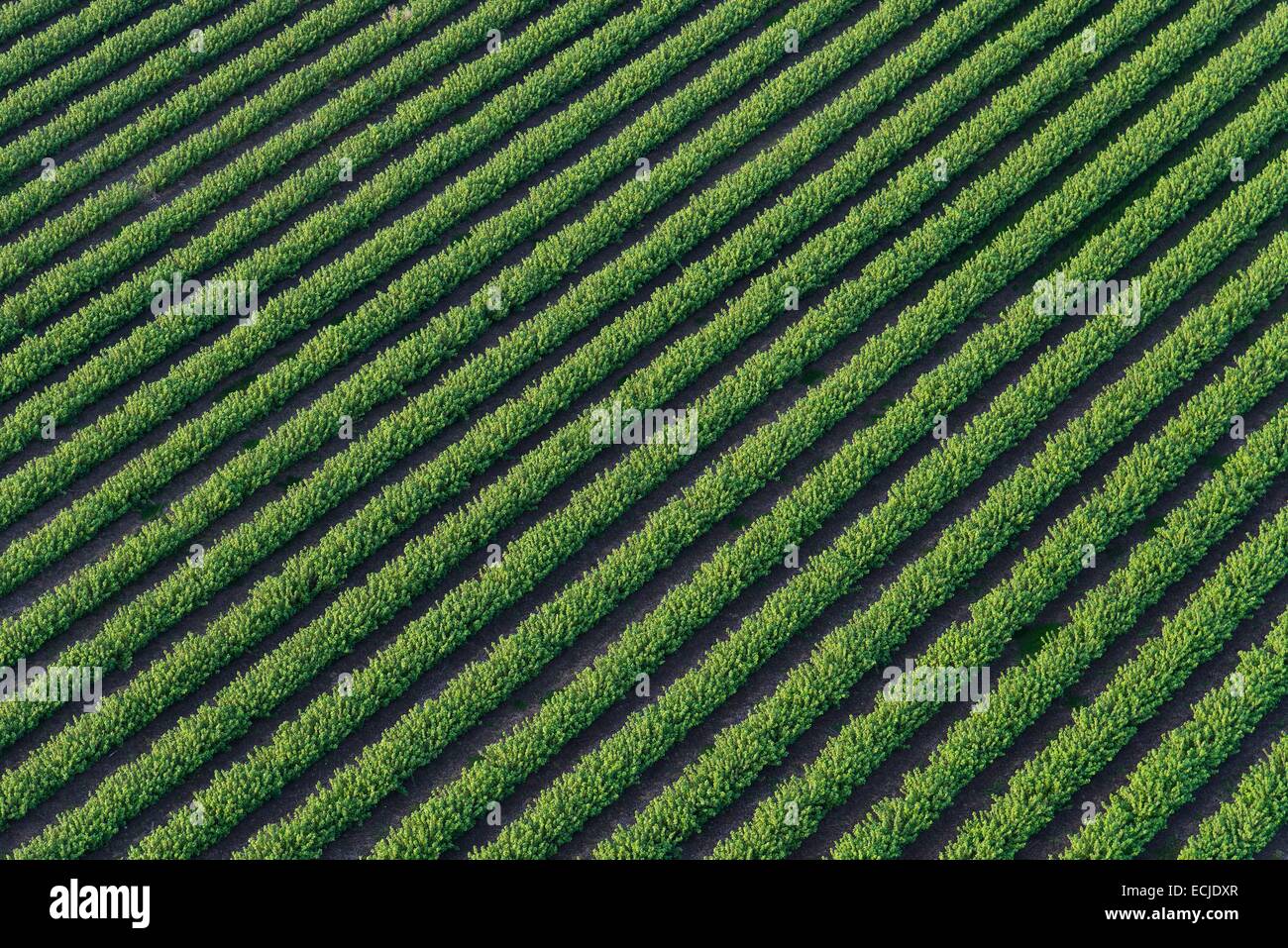 Dangu eure hi-res stock photography and images - Alamy