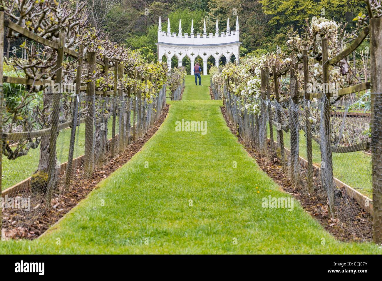 United Kingdom, Gloucestershire, Cotswold district, Cotswolds region ...