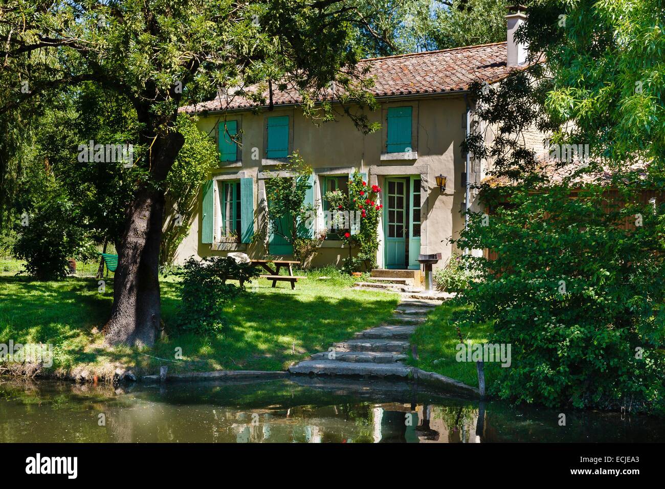 France, Deux Sevres, Arcais, Marais Poitevin, typical Marais Poitevin ...