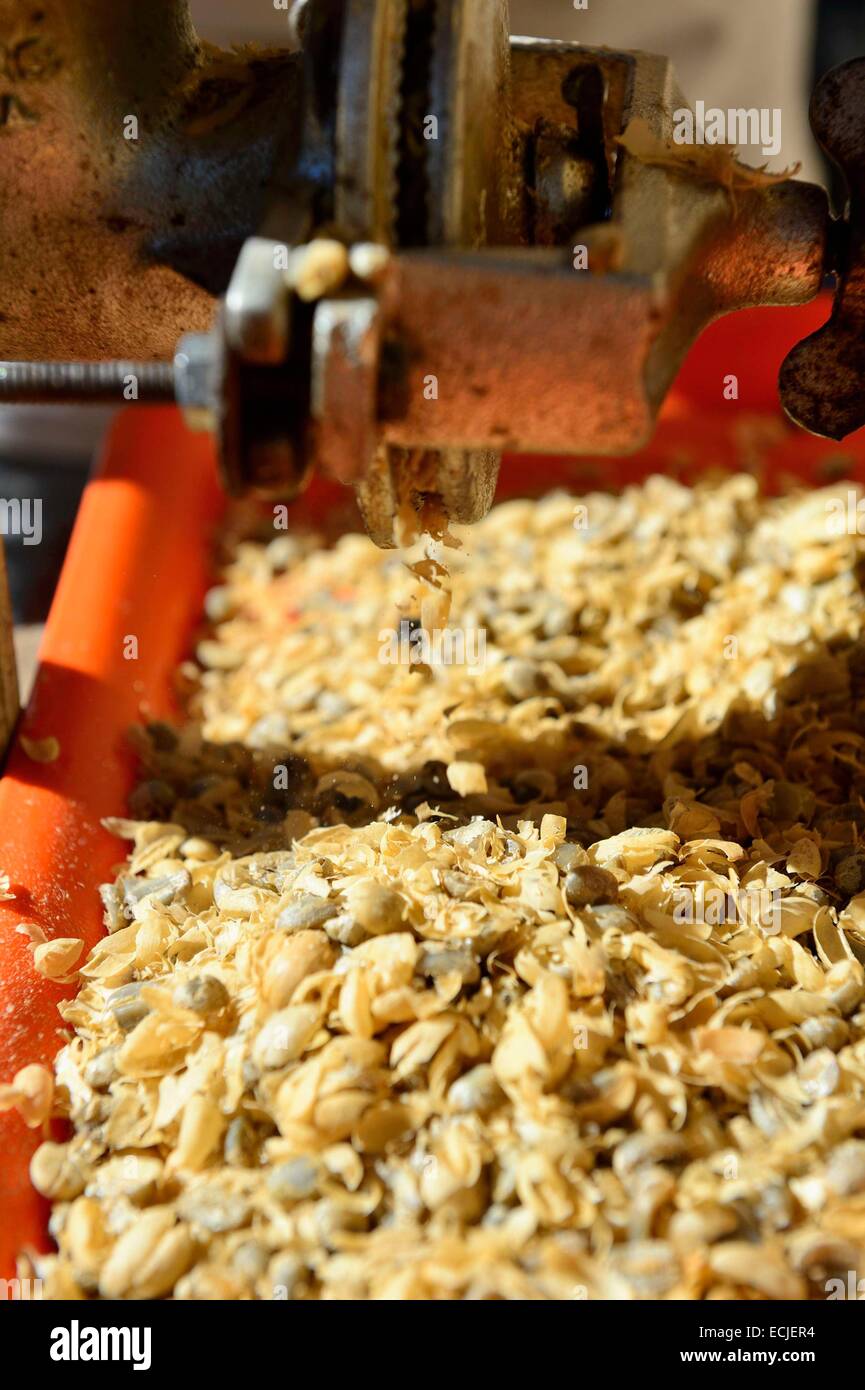 Bark separation hi-res stock photography and images - Alamy