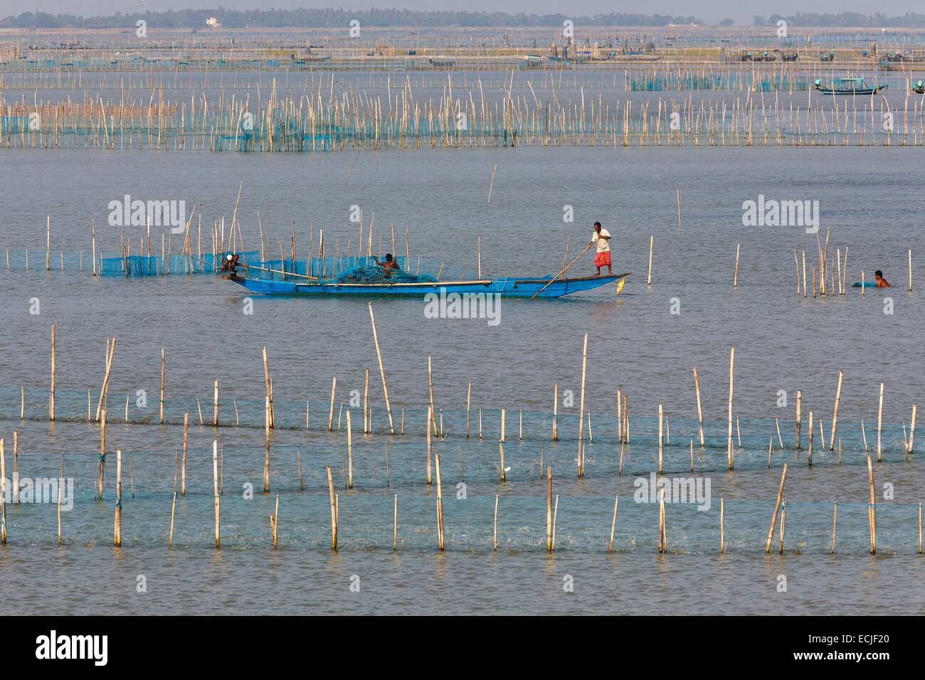 India, Odisha, Satapada, fishermen on the Chilika lagoon Stock Photo ...