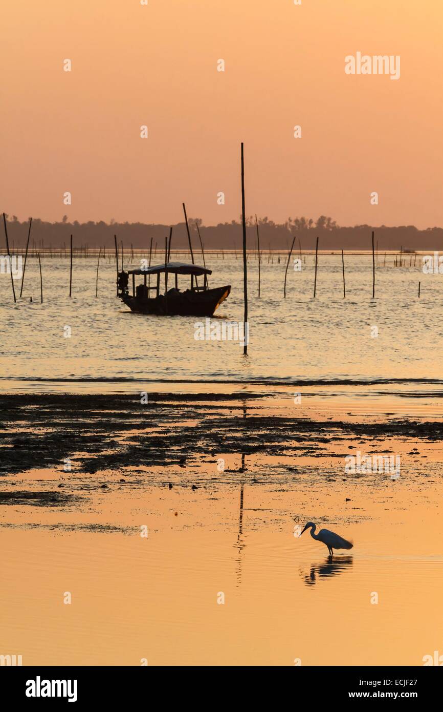 India, Odisha, Satapada, sunset on Chilika lagoon, boat and egret Stock ...