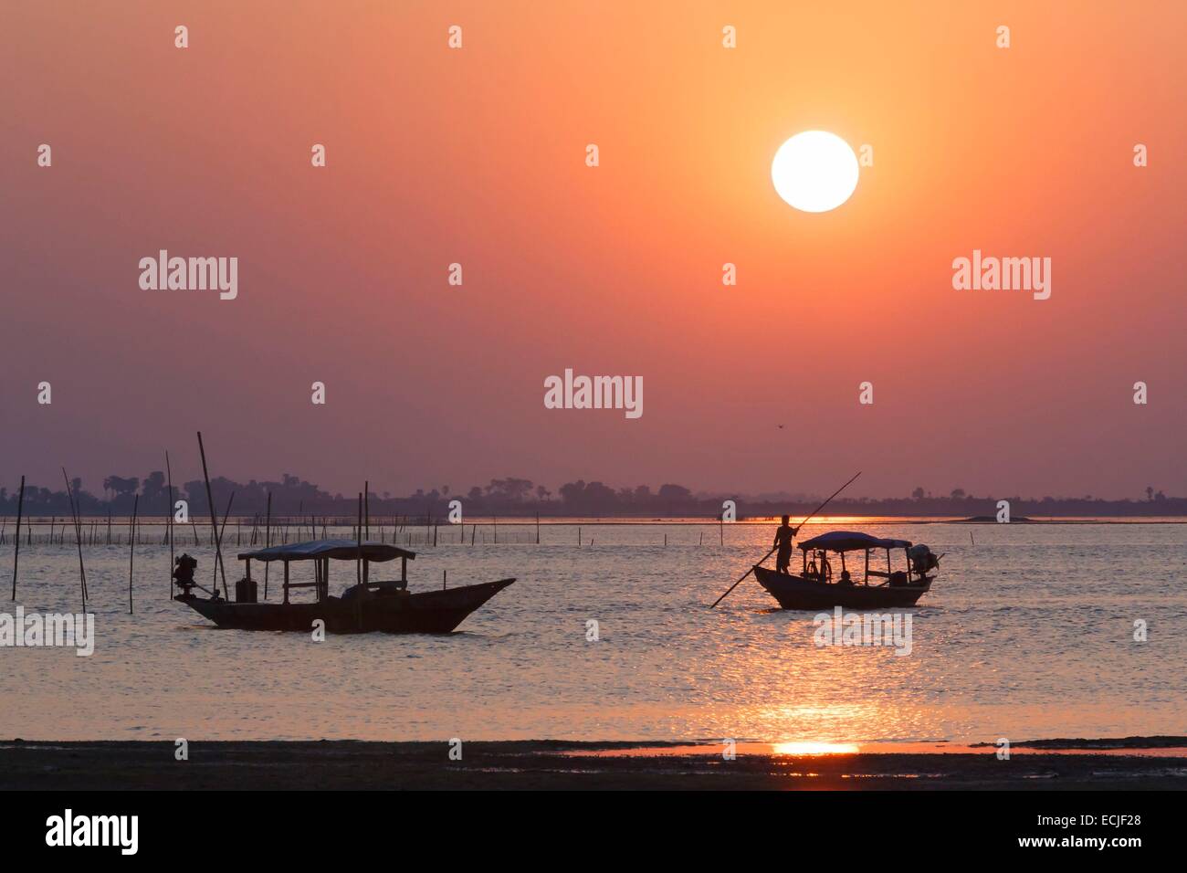 India, Odisha, Satapada, sunset on Chilika lagoon, boats Stock Photo ...
