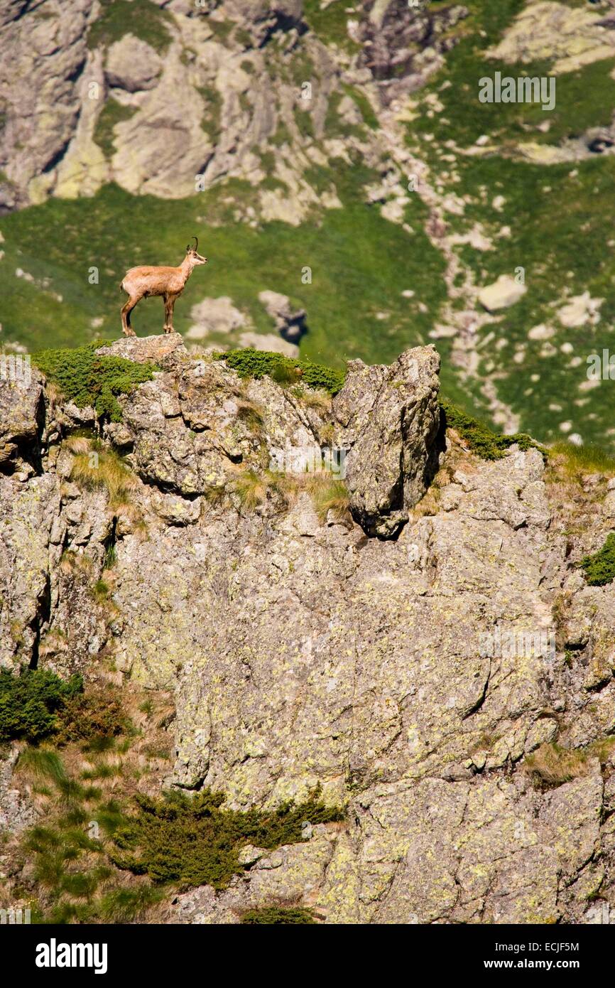Región balcánica hi-res stock photography and images - Alamy