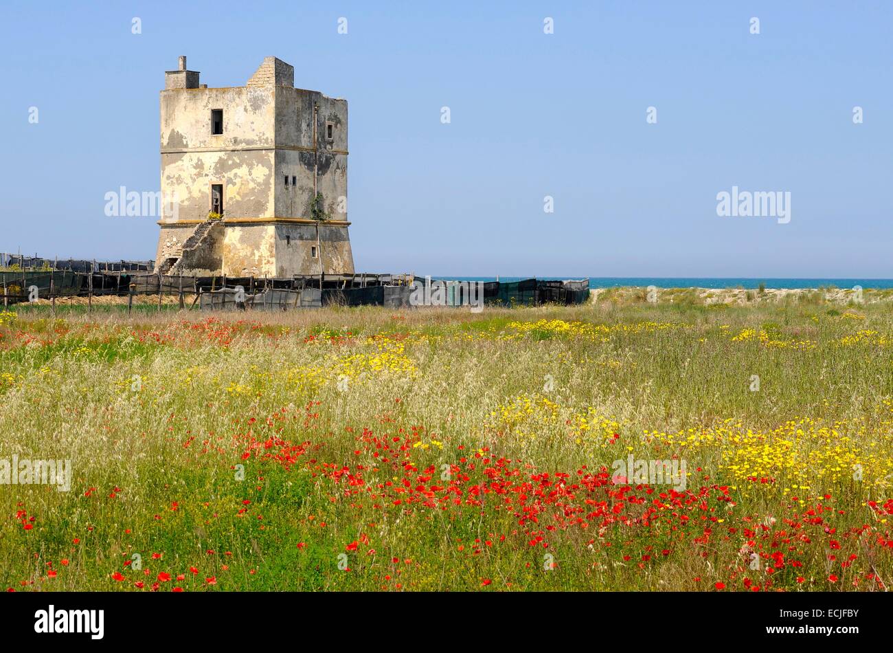 Italy, Apulia, coastal landscape near Bari Stock Photo - Alamy