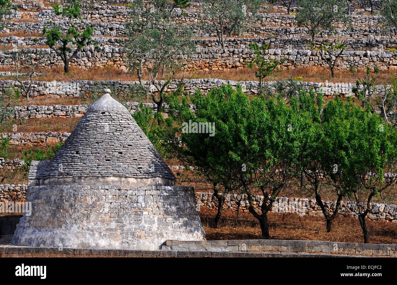 Italy, Apulia, Martina Franca area, Trullo, typical form of rural ...