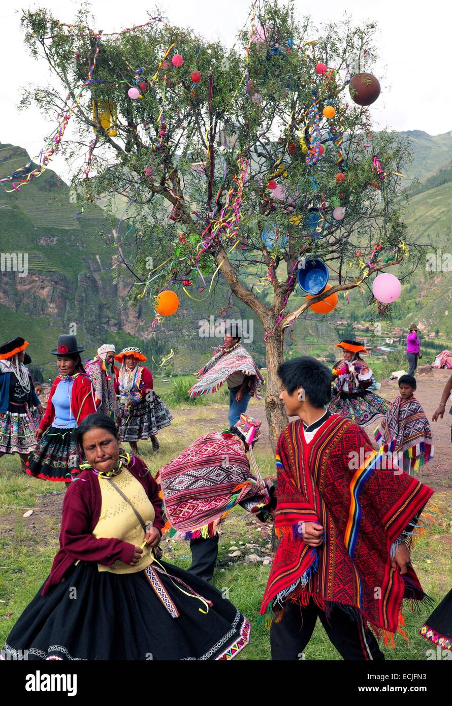 Peru, Cuzco province, Pisac, traditional Peruvian Yunza ceremony, where ...