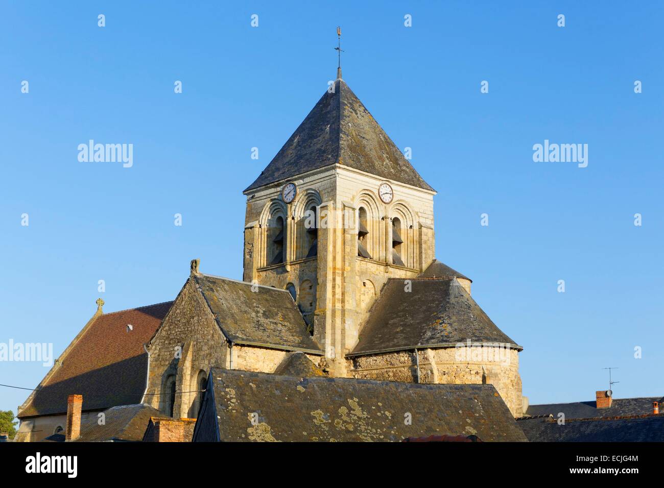 Le loir hi-res stock photography and images - Alamy