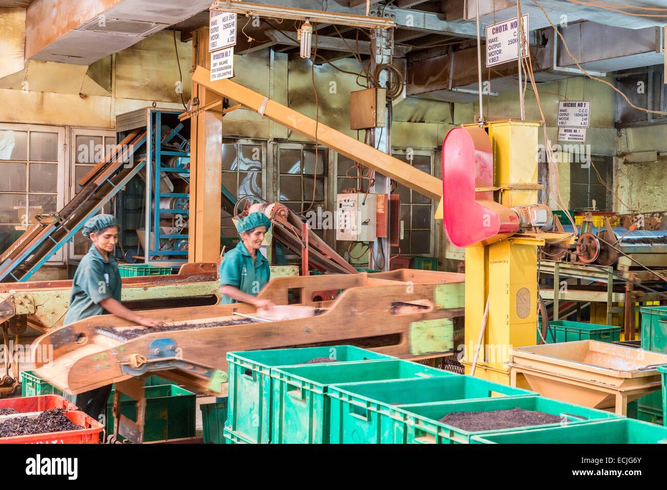 Sri Lanka, Pilimatalava, Geragama Tea Center, sieving black tea Stock ...