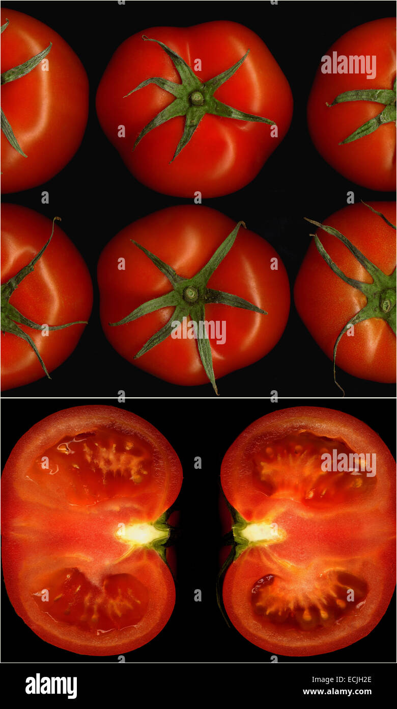tomatoes collage composition nested on a black square frame Stock Photo ...