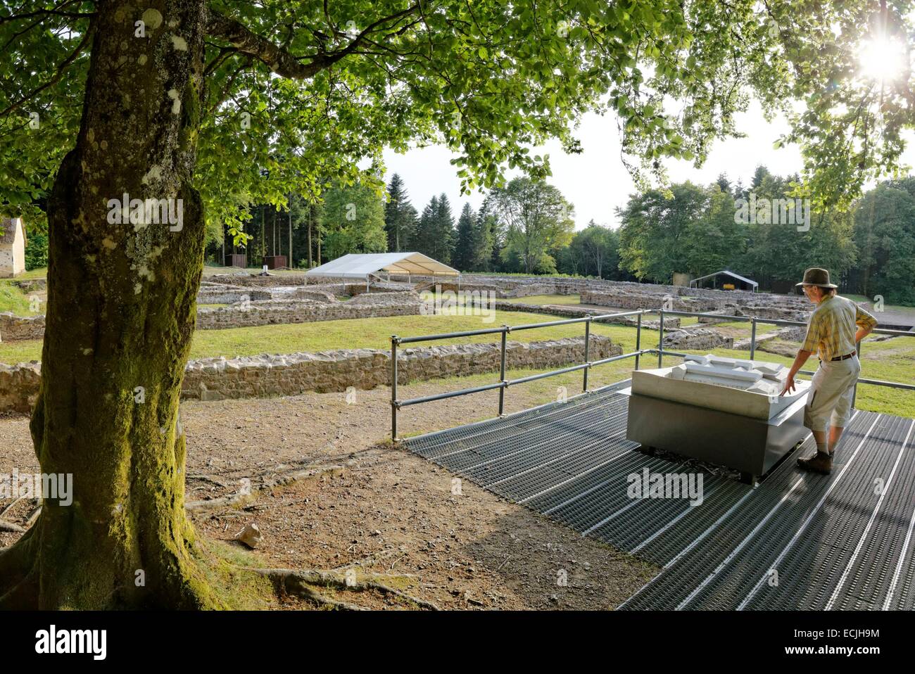 Bibracte in morvan hi-res stock photography and images - Alamy