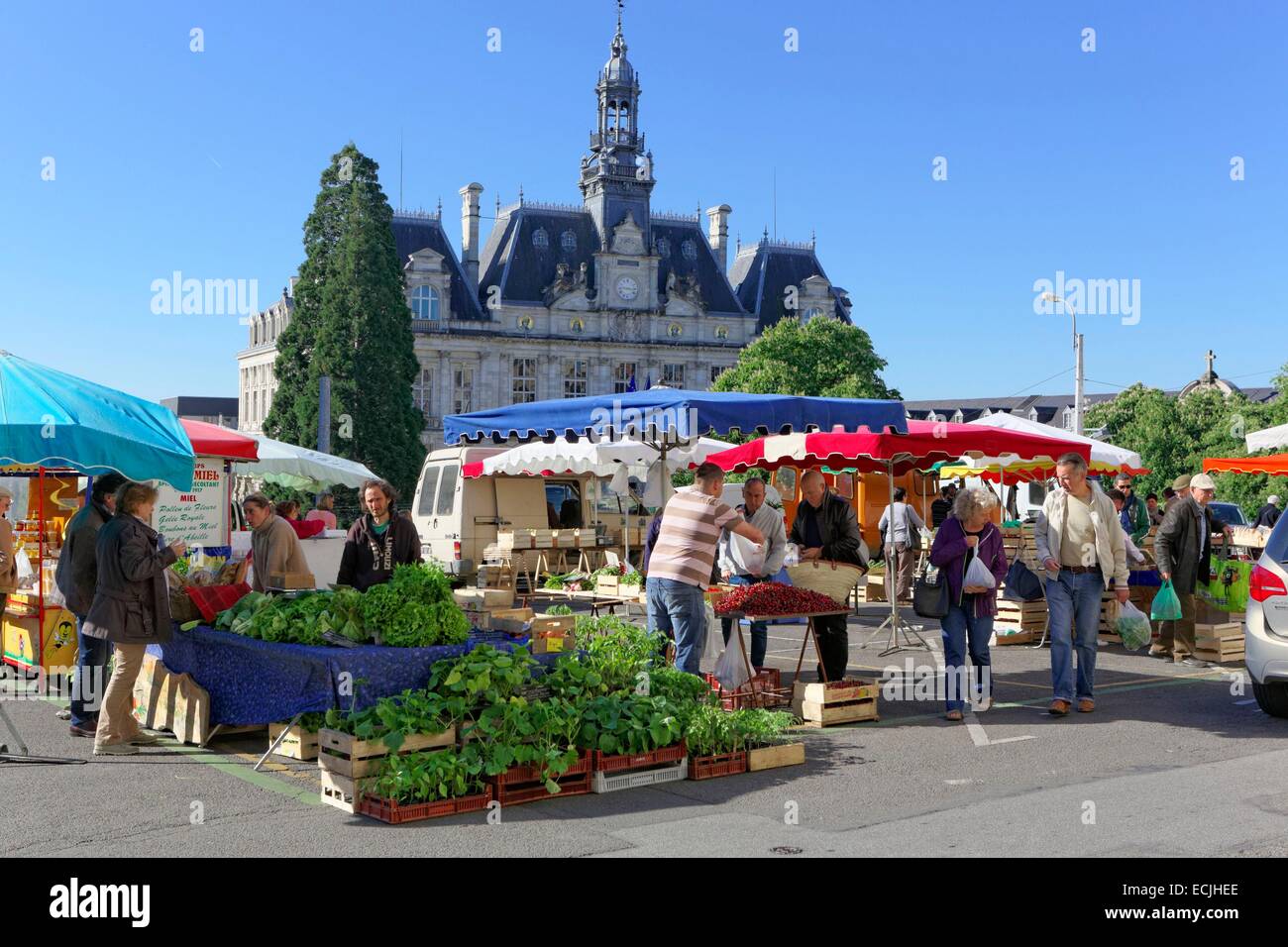 France, Haute Vienne, Limoges, market, Haute Vienne square, town hall ...