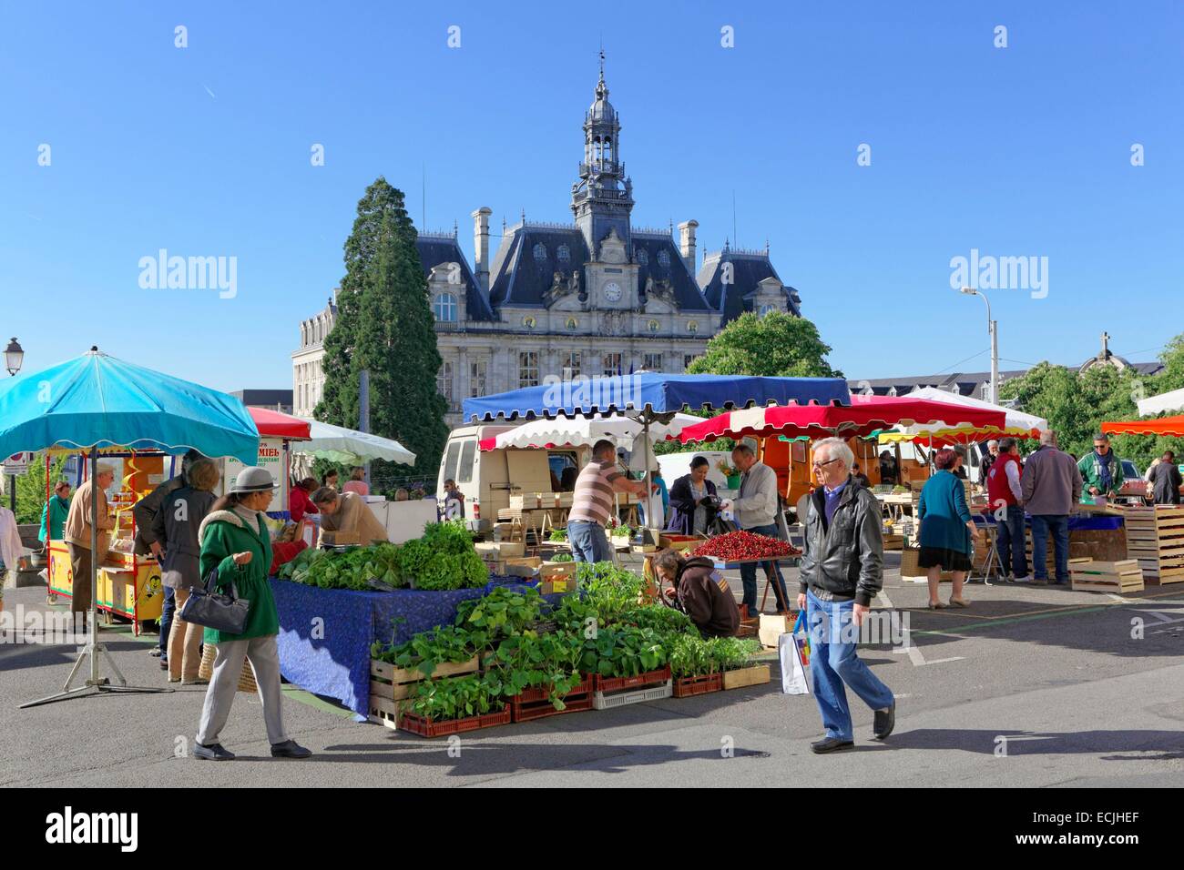 France, Haute Vienne, Limoges, market, Haute Vienne square, town hall ...