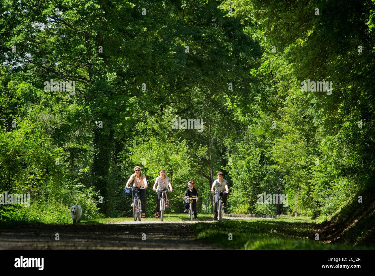 France, Aisne, Ohis, forest bicycle riding on the Green line Stock ...