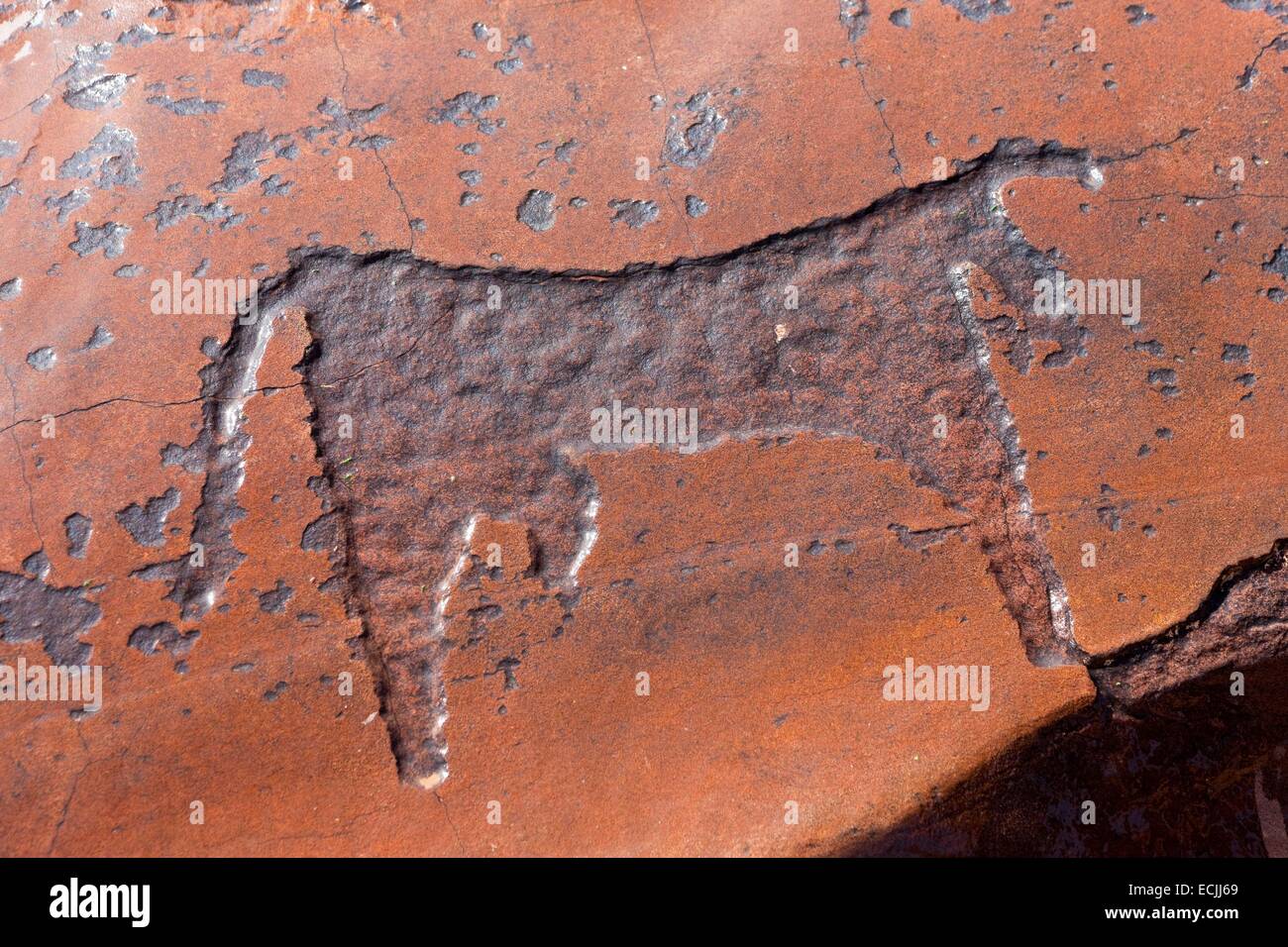 Morocco, High Atlas, ski Ouka∩meden, rock carving depicting a bull ...