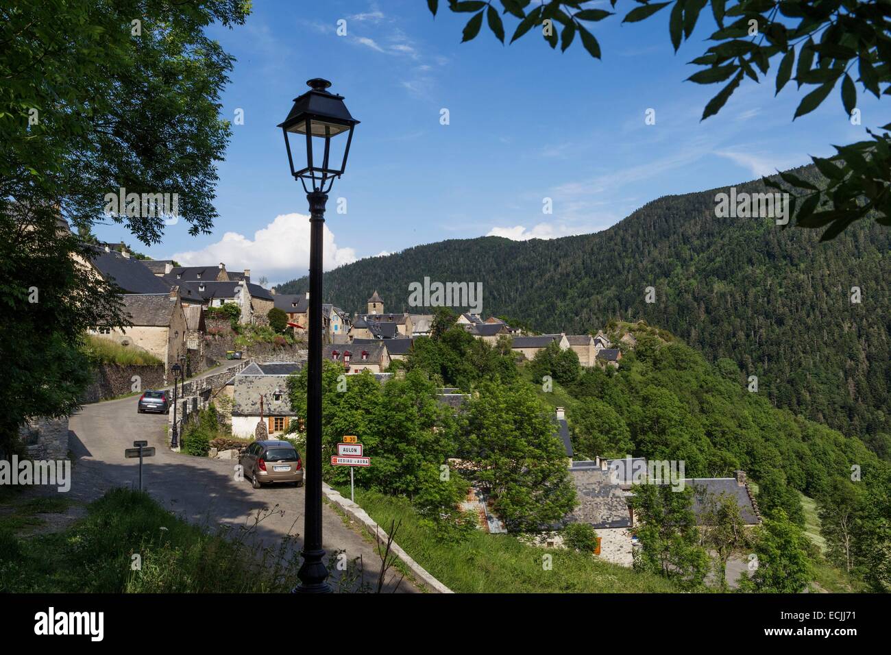 France, Hautes Pyrenees, Aulon, located in the buffer zone of the ...