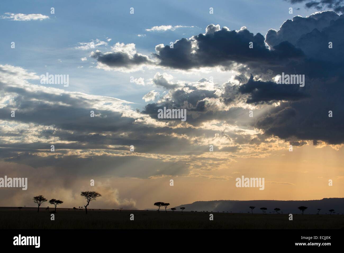 Game reserve sunset hi-res stock photography and images - Alamy