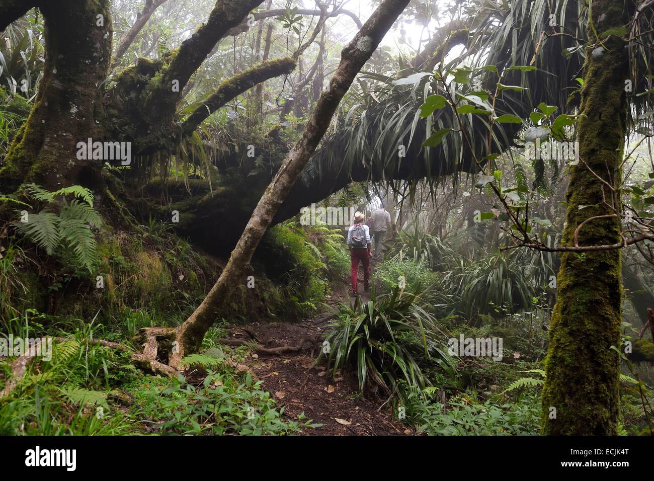 Parc national de la reunion reunion national park hi-res stock ...